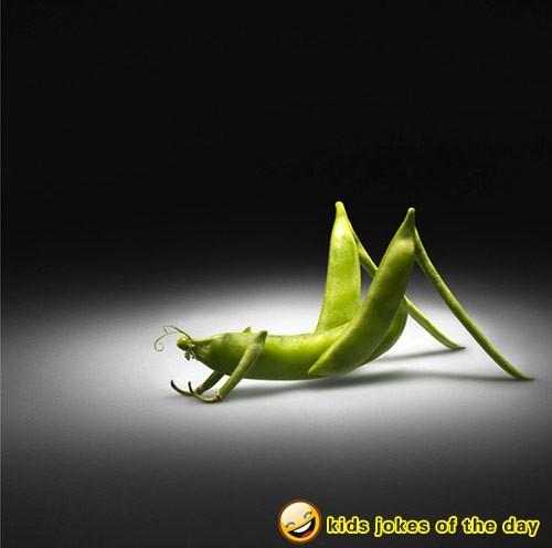 Pea locust-Funny Pictures-kids jokes of the day