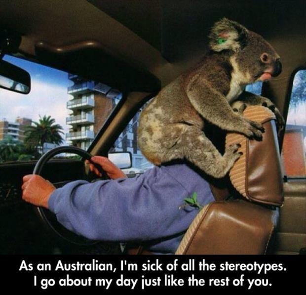 Funny Australian Picture-Funny Pictures-kids jokes of the day